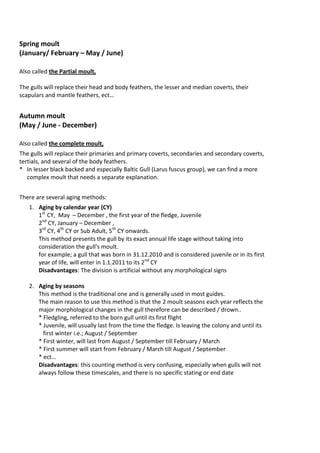 Aging large gulls 1.1.2011