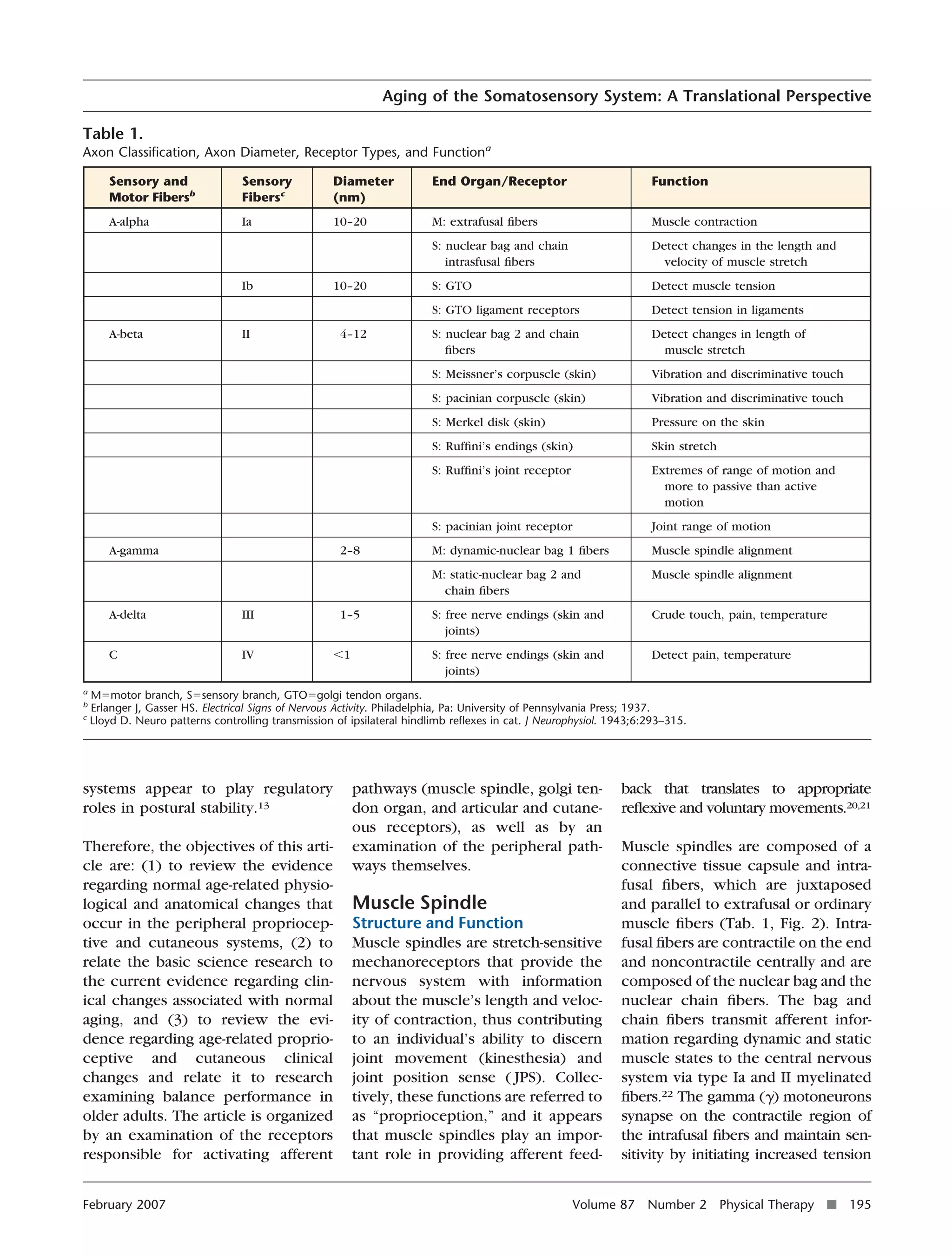 Aging of the somatosensory system. a translational perspective | PDF