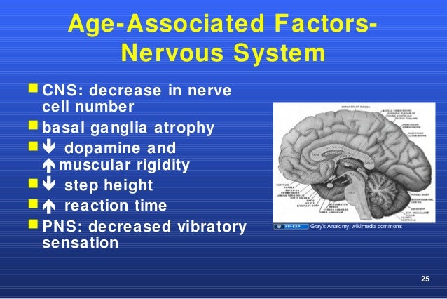 Physiology of Aging - Dr Williams