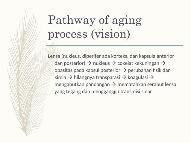 Aging Process.ppt pembelajaran learning issue | PPT