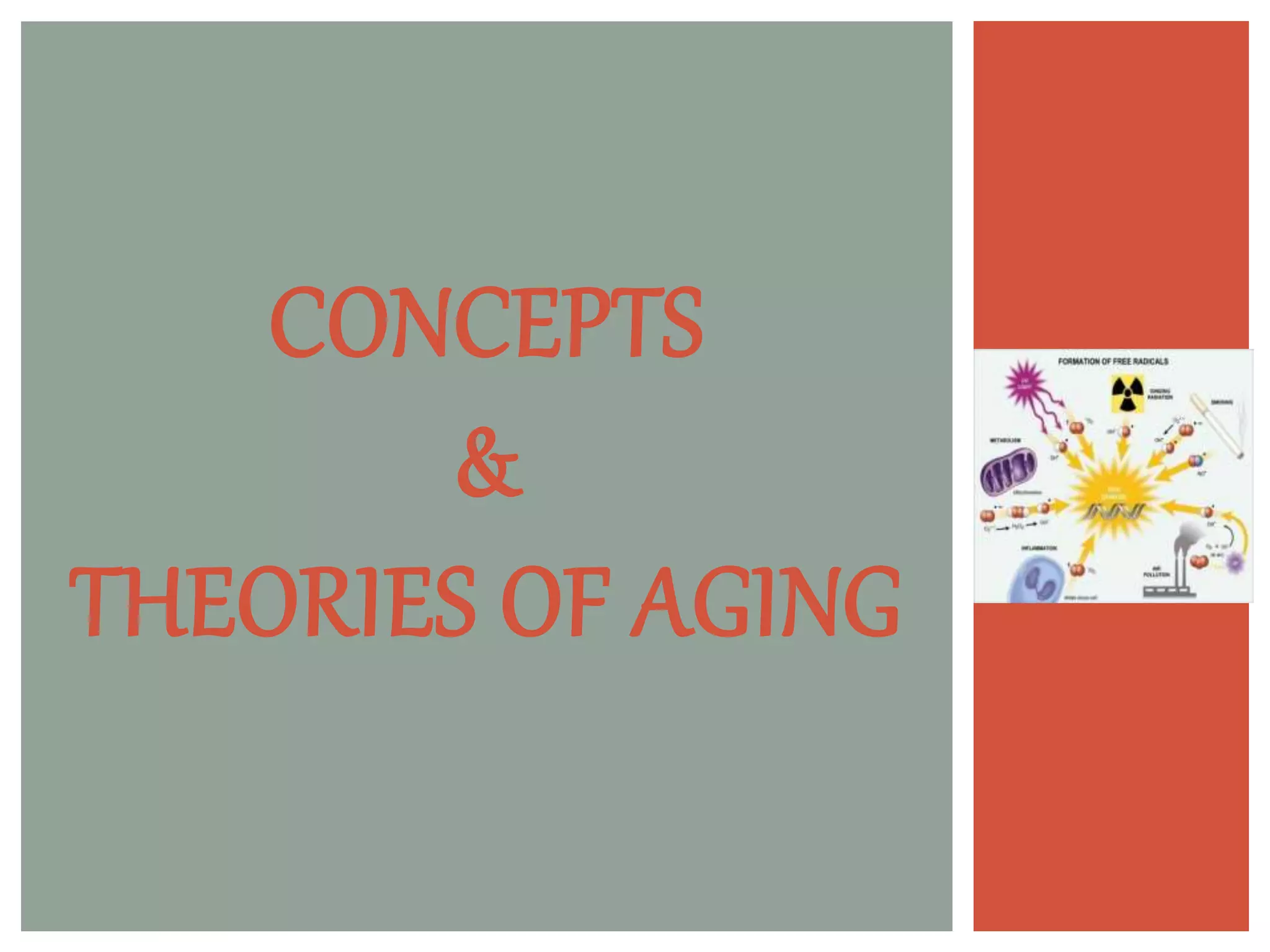 Aging theory | PPTX