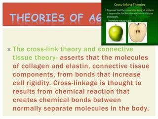Aging theory | PPTX