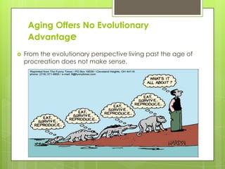 Aging with meaning | PPT