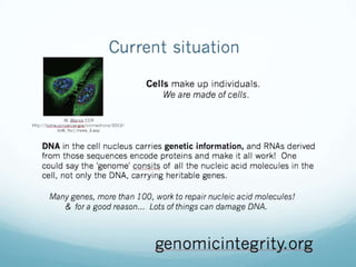 Introducing AGiR: Action for Genomic integrity through Research | PPT