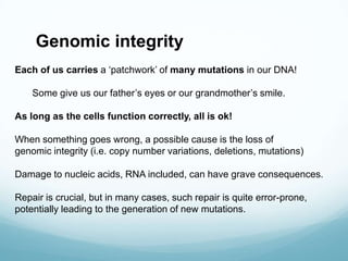 Introducing AGiR: Action for Genomic integrity through Research | PPT