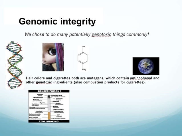 Introducing AGiR: Action for Genomic integrity through Research | PPT