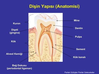 Agiz dis sagligi | PPTX