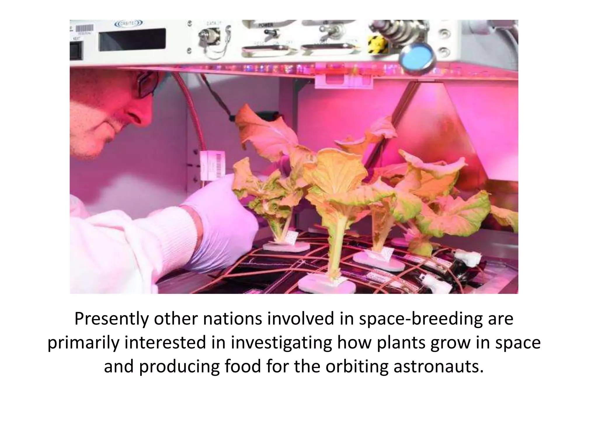 Space Breeding | PPTX