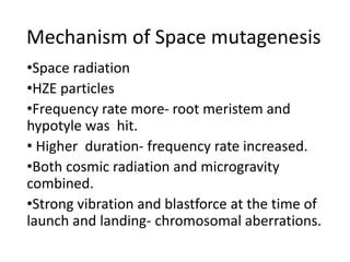 Space Breeding | PPTX