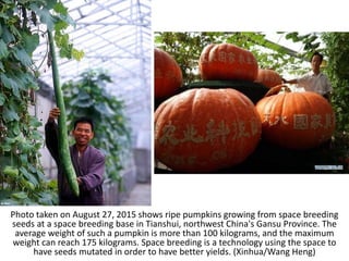 Space Breeding | PPTX