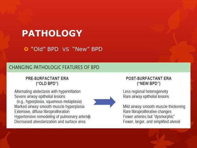 A glance at BPD | PPTX