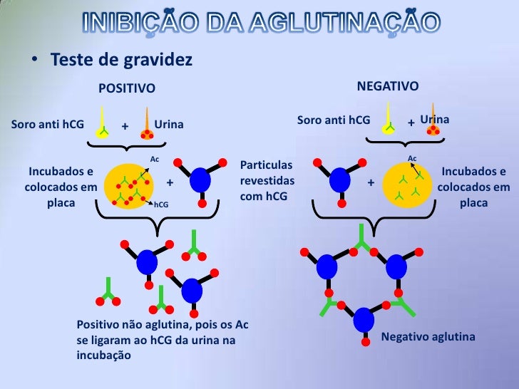 Aglutinacao