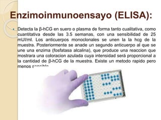 Aglutinacion de hcg expo | PPTX
