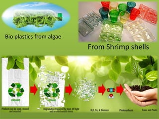 Bioplastics - biodegradable Plastics | PPTX