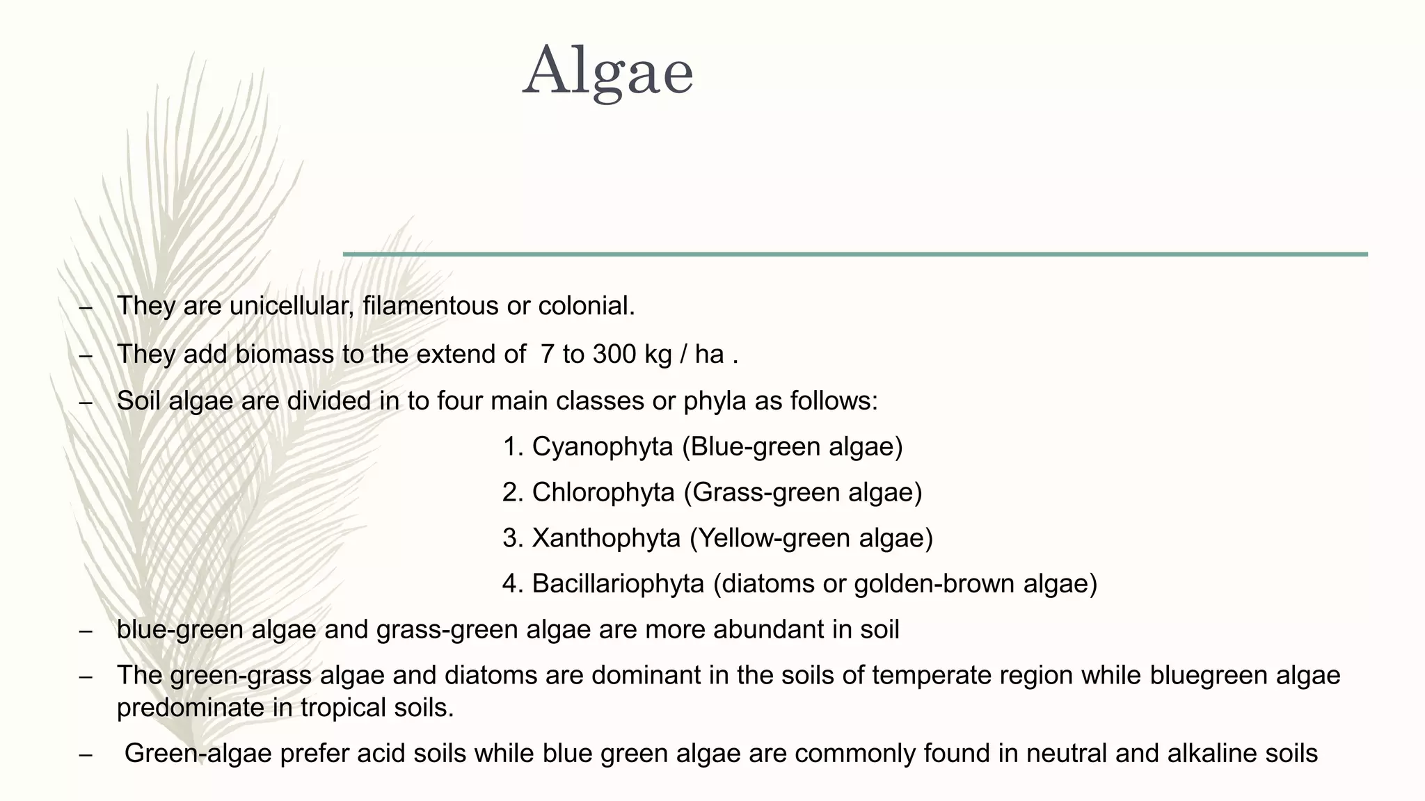 Agm 301 agricultural microbiology (algal biofertilizers) | PPT
