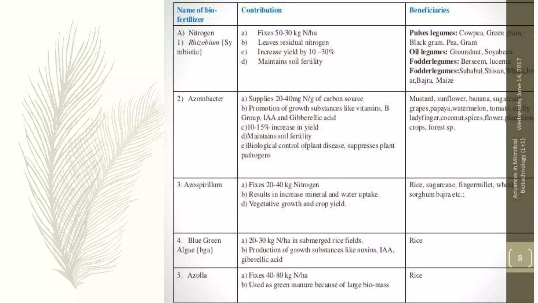 Agm 301 agricultural microbiology (algal biofertilizers) | PPT