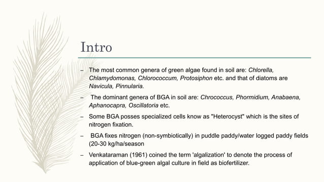 Agm 301 agricultural microbiology (algal biofertilizers) | PPT