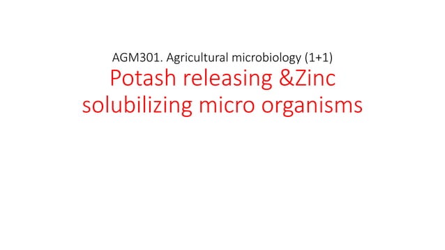 POTASSIUM RELEASING & ZINC SOLUBILIZING MICRO ORGANISMS | PPTX ...