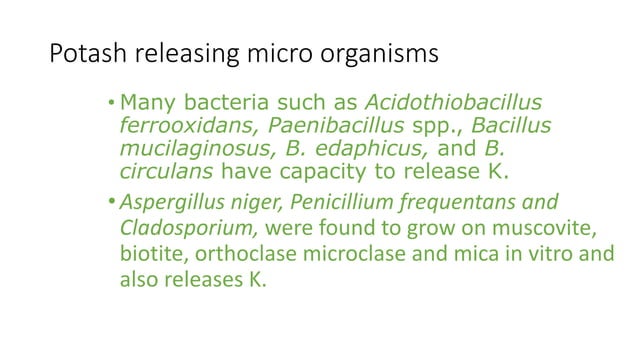 POTASSIUM RELEASING & ZINC SOLUBILIZING MICRO ORGANISMS | PPTX ...