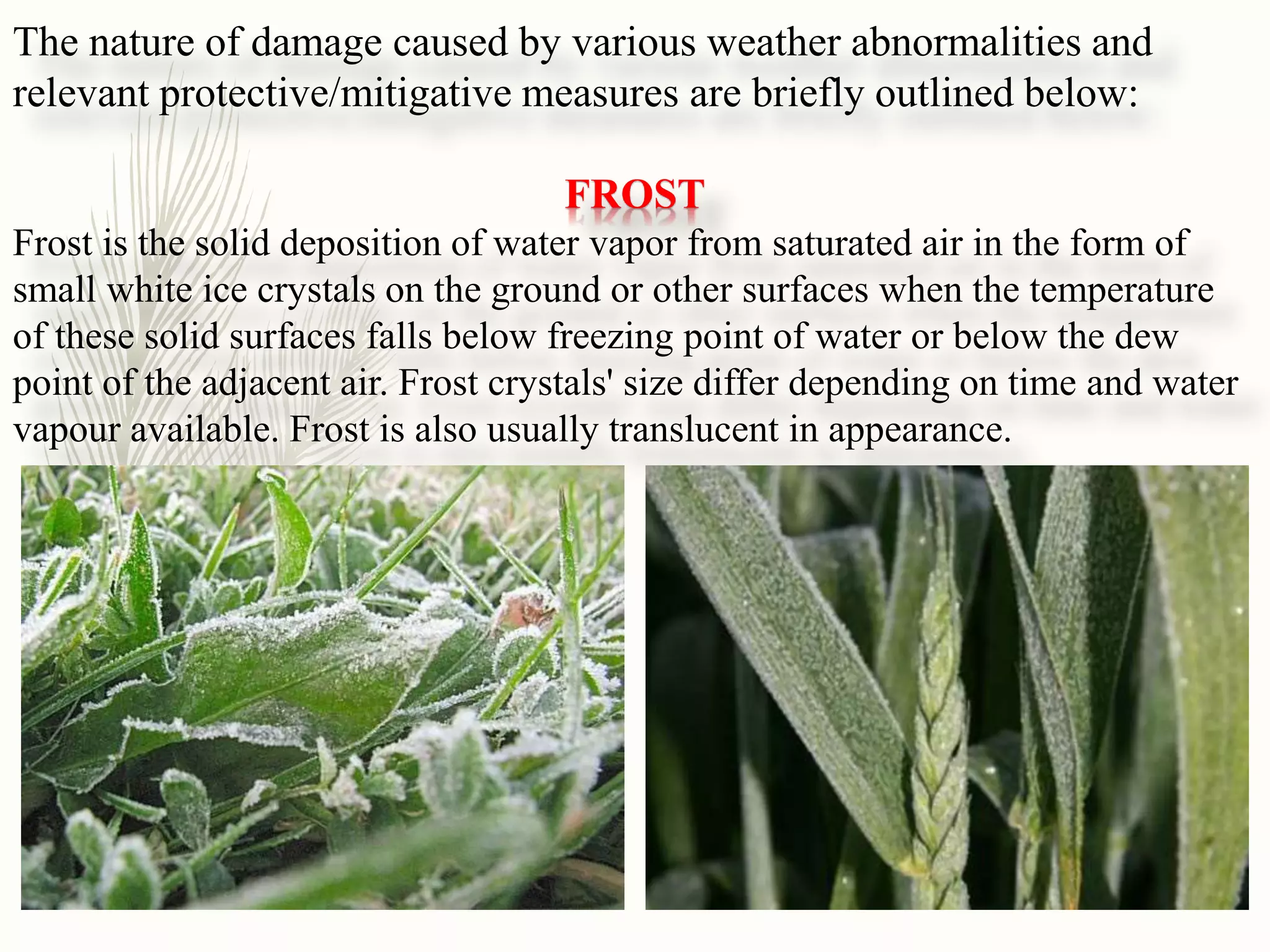 Modification of weather hazards: weather modification for agriculture; scientific advances in ...