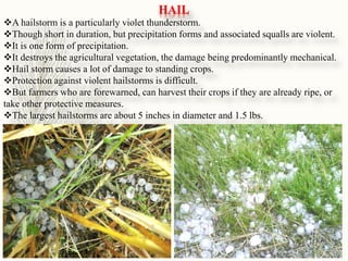 Modification of weather hazards: weather modification for agriculture; scientific advances in ...