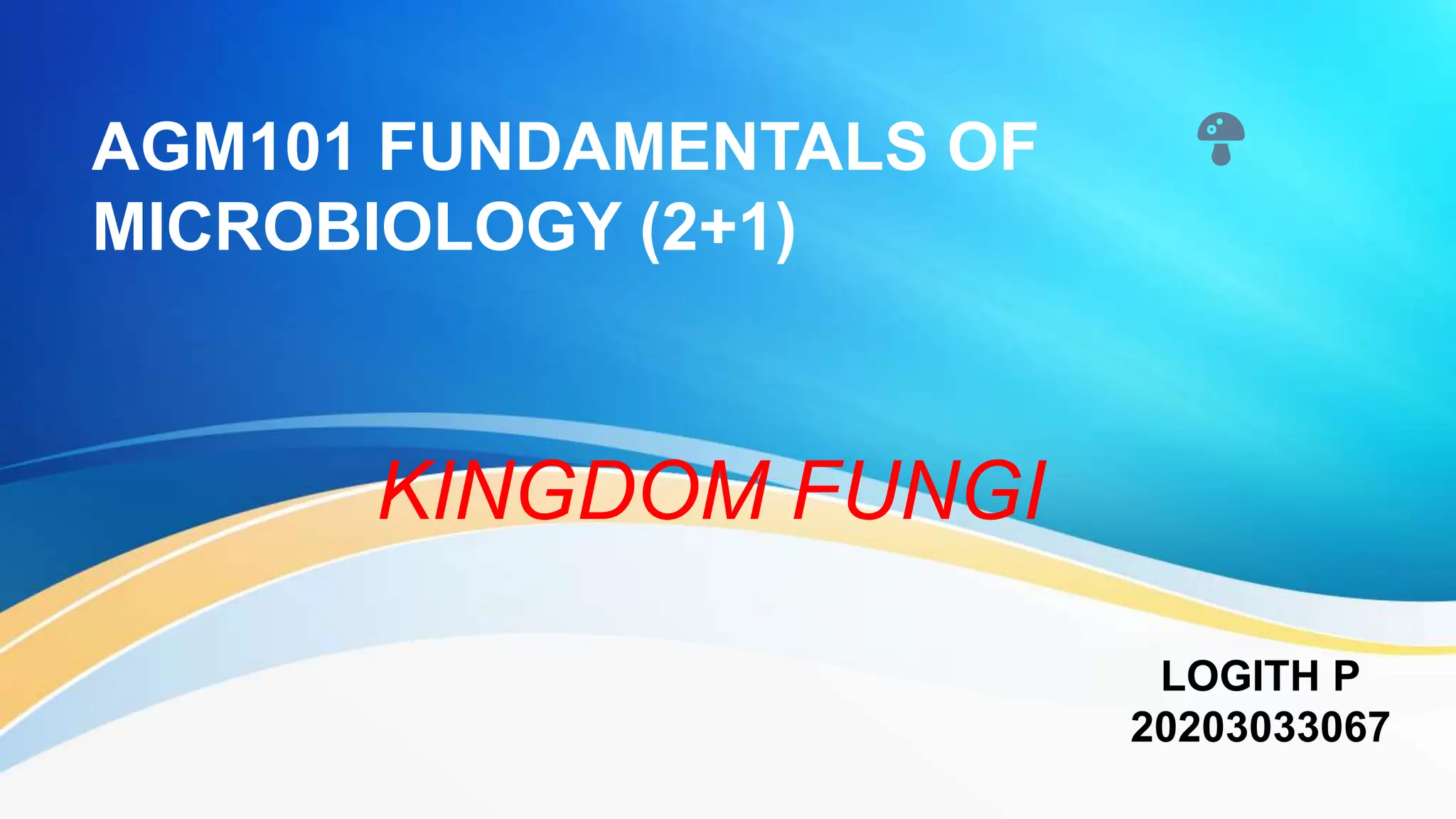 kingdom fungi and its classification & character | PPT