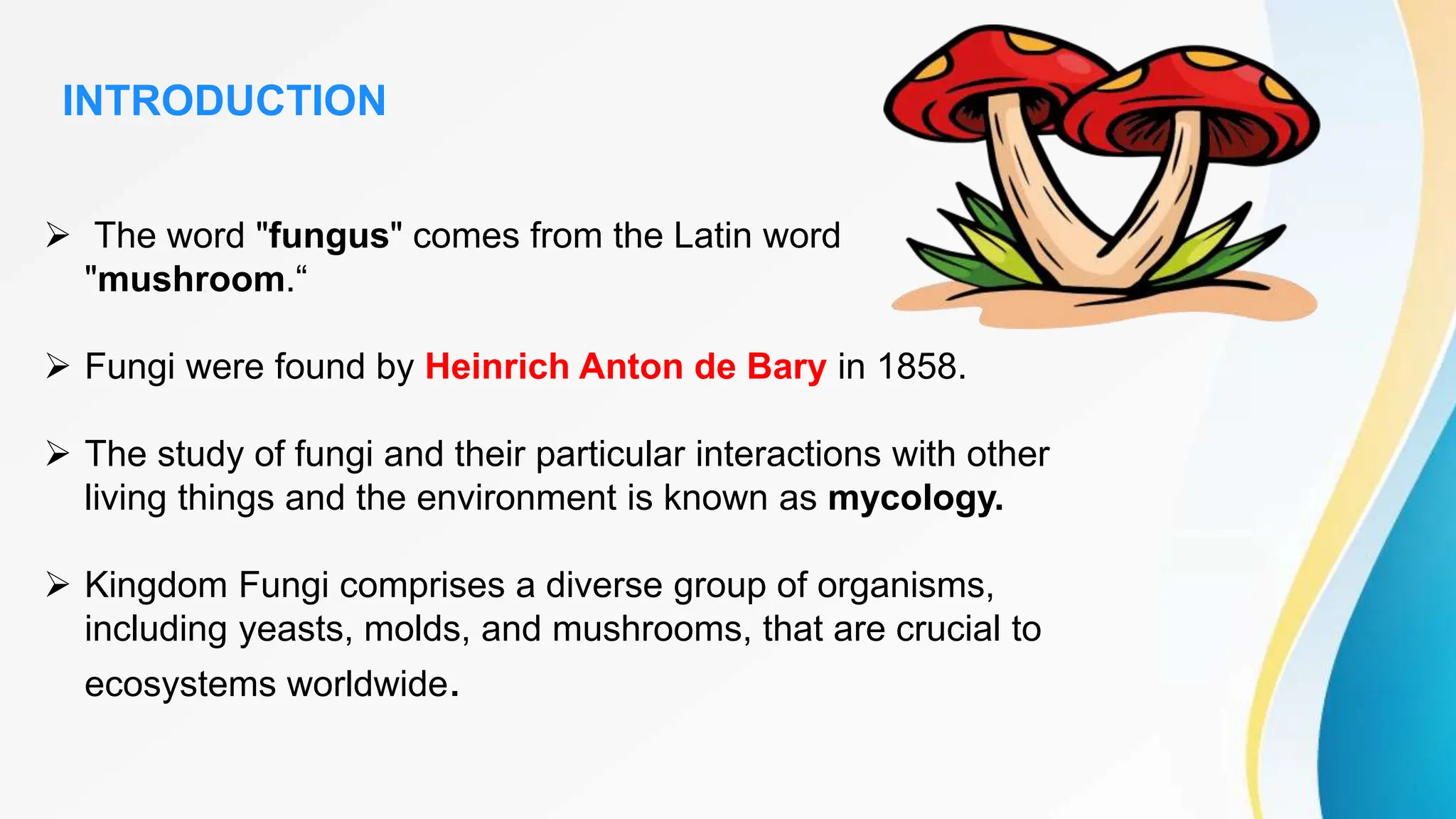 kingdom fungi and its classification & character | PPT