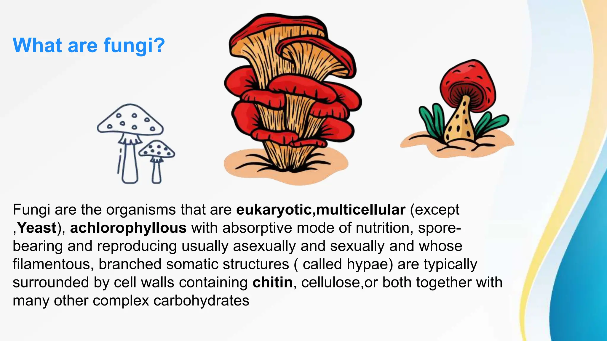 kingdom fungi and its classification & character | PPT