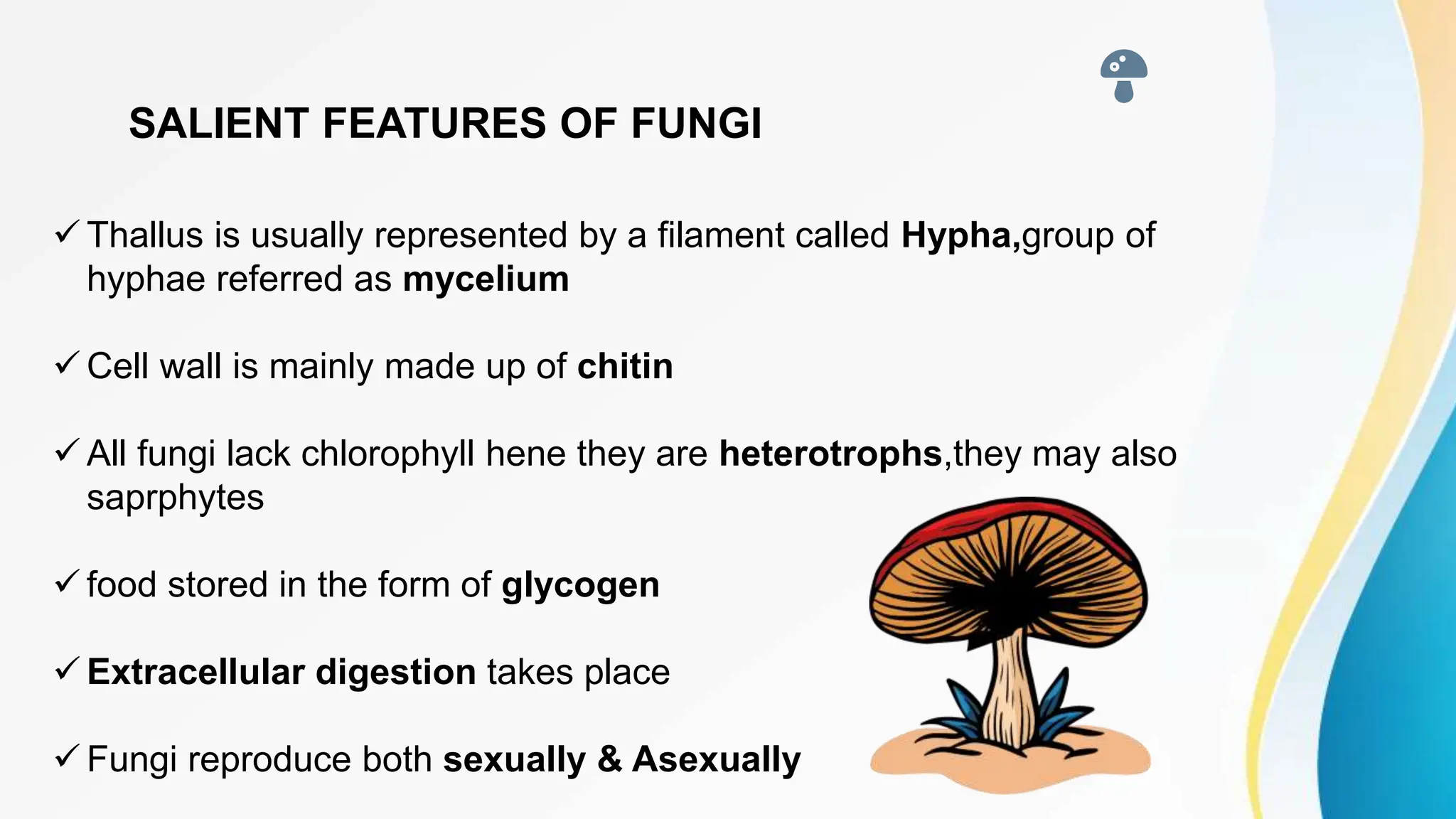 kingdom fungi and its classification & character | PPT