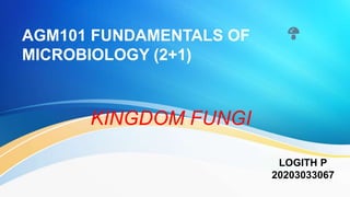kingdom fungi and its classification & character | PPT