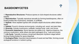 kingdom fungi and its classification & character | PPT