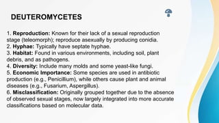 kingdom fungi and its classification & character | PPT