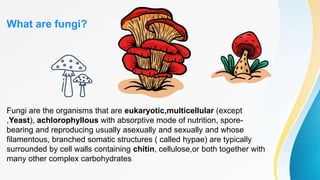 kingdom fungi and its classification & character | PPTX