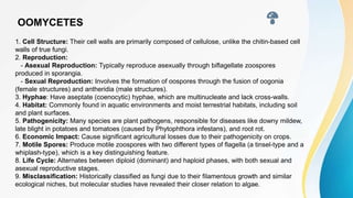 kingdom fungi and its classification & character | PPT