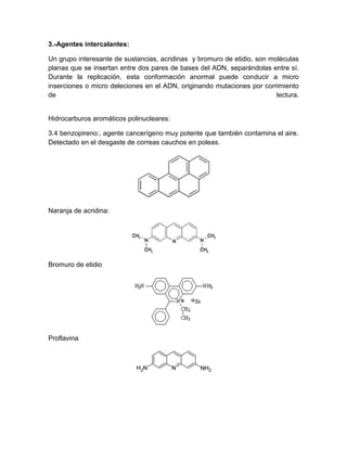 Agentes mutagenicos | DOCX