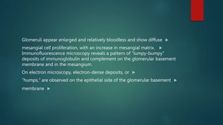 Acute glomerulonephritis | PPTX