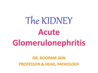 Acute Glomerulonephritis: Causes, Symptoms and Pathology | PPT