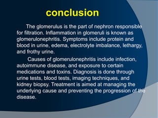 acute glomerulo nephritis | PPTX