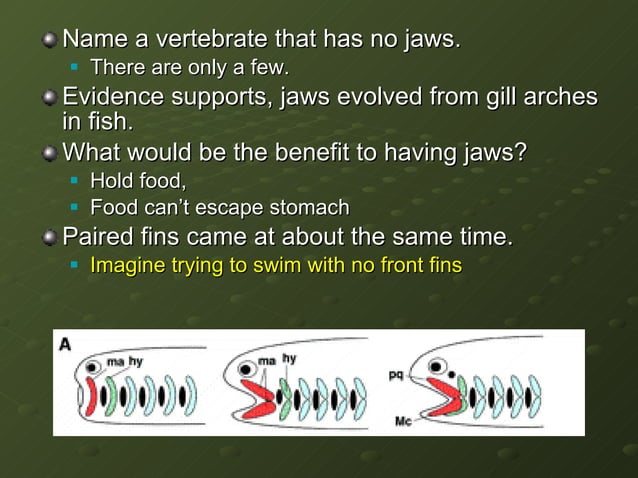 Agnatha | PPT