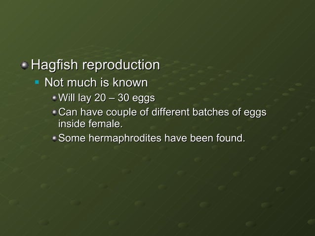 Agnatha | PPT