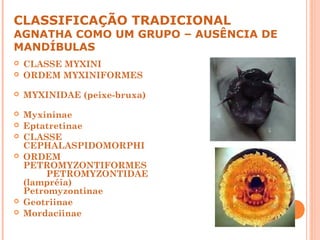 Agnatha | PPS