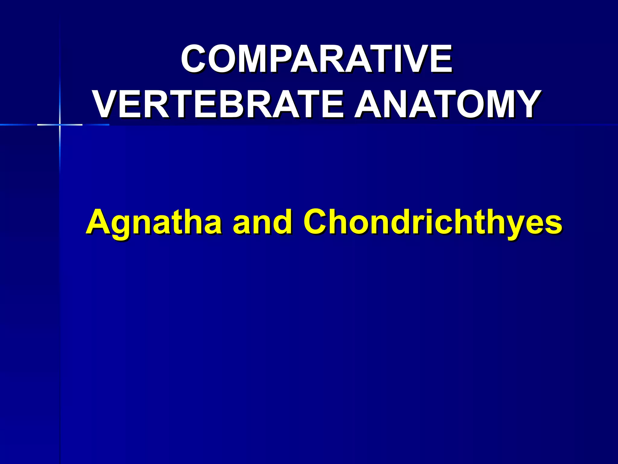Agnathaandchondrichthyes | PPT