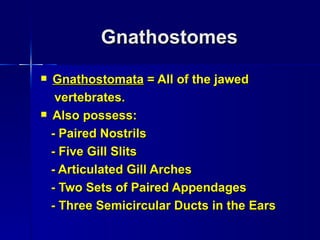 Agnathaandchondrichthyes | PPT