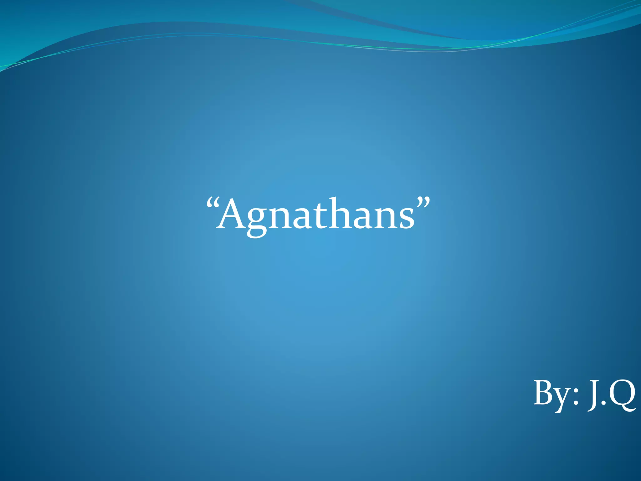 Agnathan (By: J.Q) | PPTX