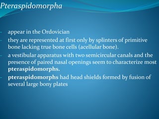 Agnathan (By: J.Q) | PPTX