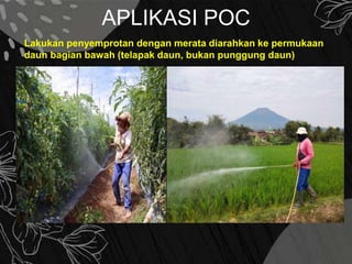 Agnes POC dan Kompos Plus rev.pptx
