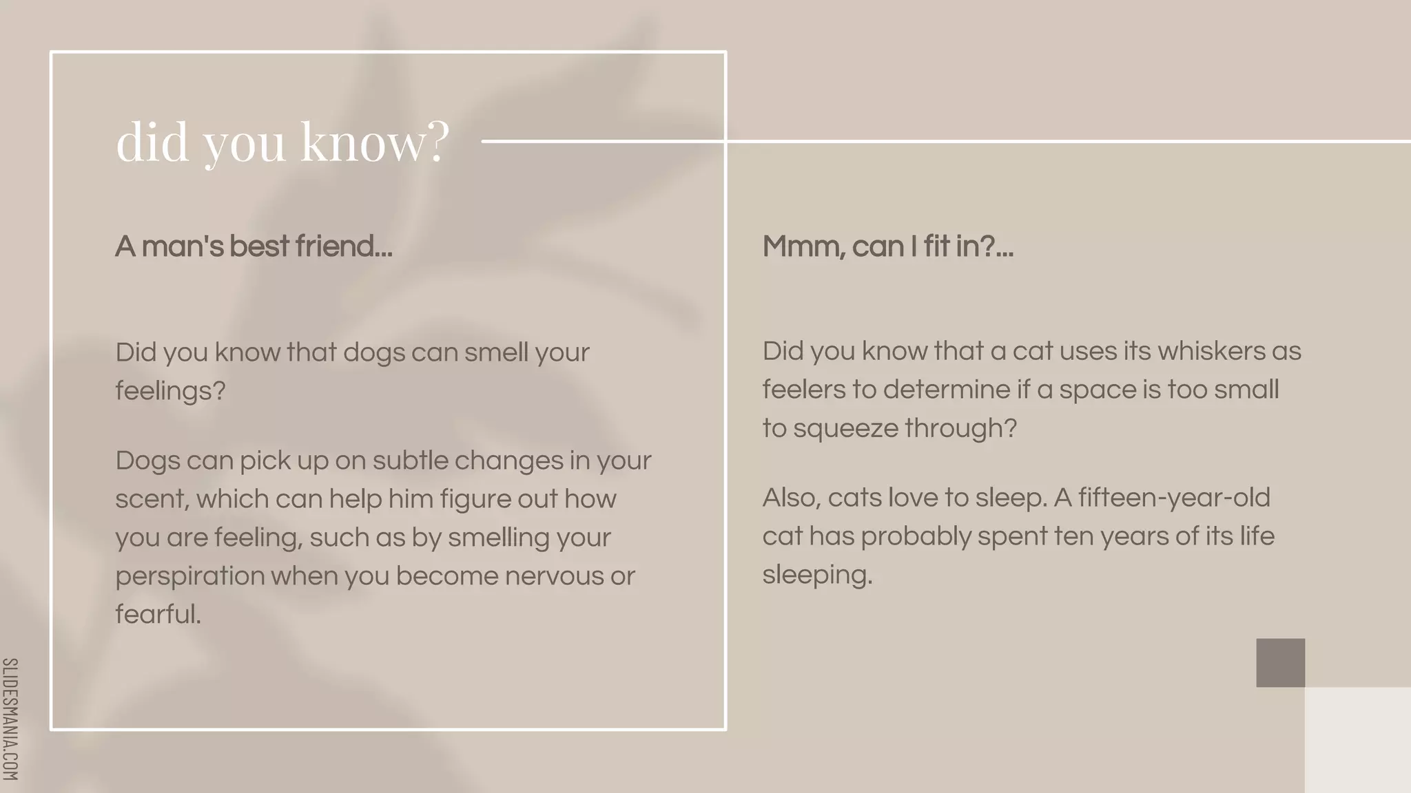 Agnes · SlidesMania.pdf