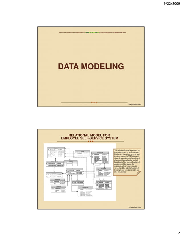 Agnes's BI Portfolio Handout Version | PDF