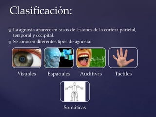 neuropsicoloia de las gnosias y agnosia-170523214118.pdf