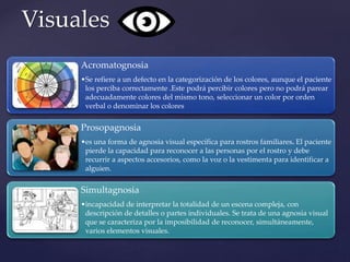 neuropsicoloia de las gnosias y agnosia-170523214118.pdf